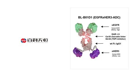 Sichuan Biokin Secures Four Phase Ii Approvals For Bl B01d1 In Combination Therapies Insight