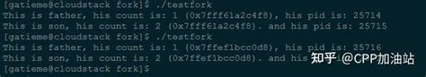 Linux中forkvfork和clone详解区别与联系 知乎