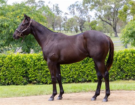 Encryption X Ah La Boom Stridyl