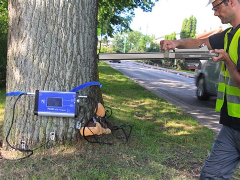 Tree Inspection Iml Electronic