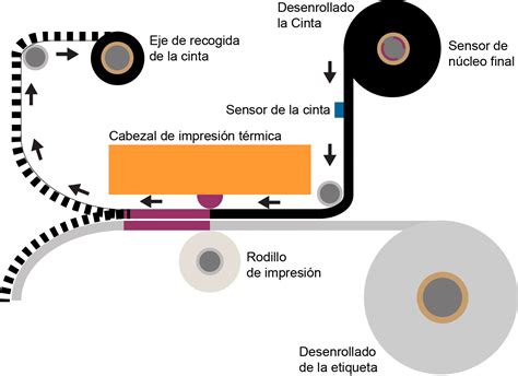 Cómo imprimir etiquetas en una impresora térmica Cuál es mejor comprar en Quecartucho es
