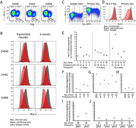 Hla C Downregulation In Untreated Hiv 1 Infection A Infectious