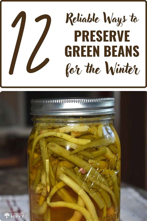 12 Reliable Ways To Preserve Green Beans For The Winter