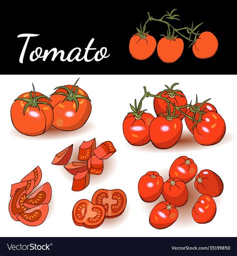 Slices Tomato Tomato Cherry Isolated On White Vector Image