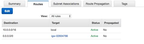 Amazon Ec ECS Cluster Has No Ecs Instances But Two Ecs Instances Are Visible In EC Server