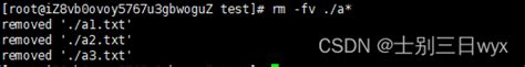 Linux Rm命令详解，linux删除文件目录（非常详细）从零基础入门到精通，看完这一篇就够了。rm R Csdn博客