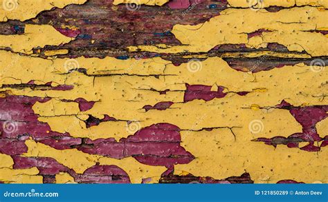 Wood Texture And Background Cut Tree Trunk Background Tree Trunk Close Up Macro View Of Cut