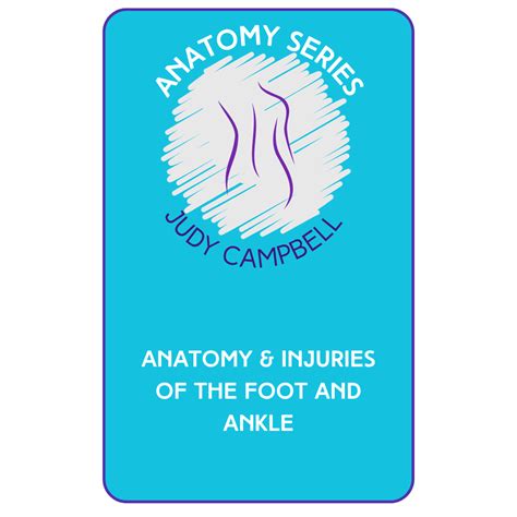 Anatomy And Injuries Of The Foot And Ankle Genius Biofeedback Uk
