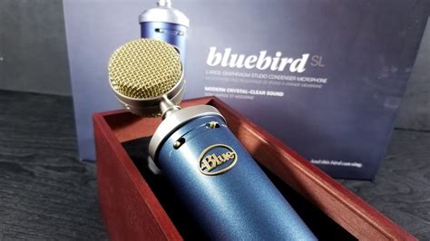 Blue Bird Mic