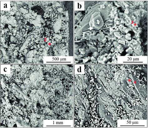 Sem Views Of The Working Layer Of Postmortem Corundum Mullite