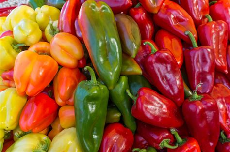 신선한 과일 채소 고추를 다양화하여 전통 현지 시장을 가까이에서 맛볼 수 있습니다 모듬 생 유기농 야채와 구성 해독 다이어트 0명에 대한 스톡 사진 및 기타 이미지 Istock