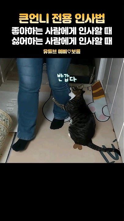 큰언니 왔는가 Youtube