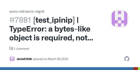 Testipinip Typeerror A Bytes Like Object Is Required Not Str · Issue 7881 · Sonic Net