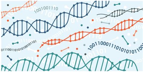 Genetic Algorithm Ai Rasa Biologi Himpunan Mahasiswa Matematika