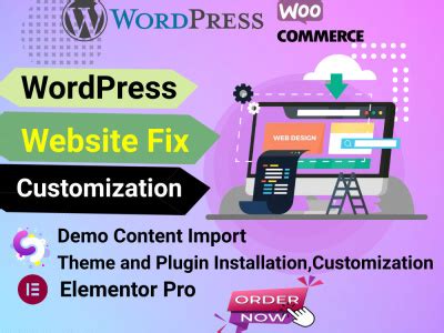 A Bug Fixed And Full Customization WP Website Upwork