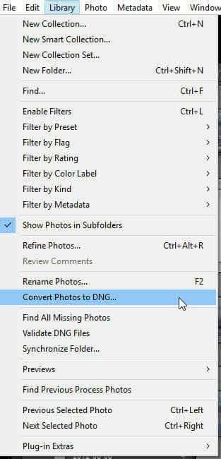 convert raw files to dng using lightroom and adobe dng converter