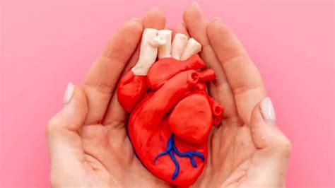 Phthalates In Microplastics Linked To Heart Diseases—one Simple Hack To