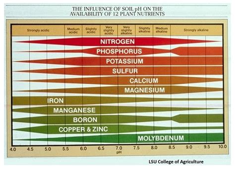 Ph Nutrient Uptake Chart Graph Of Nutrient Availability As A Function