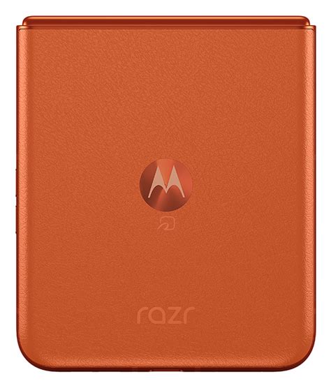 拡大画像【asciijp】