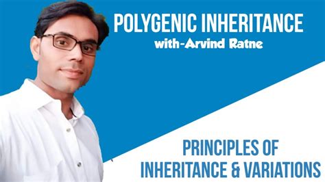 Polygenic Inheritance Genetics Principles Of Inheritance NEET VIDEO YouTube