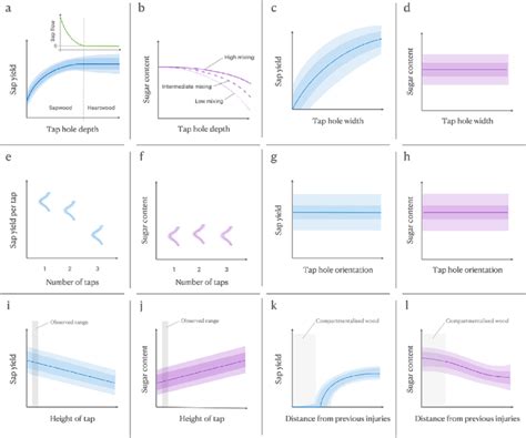 Visual Hypotheses Of The Relationships Between Sap Yield Blue Curves