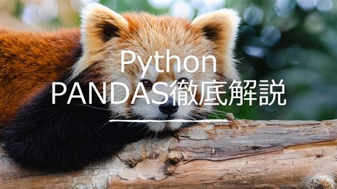 python pandasを徹底解説します dataframe を理解する Tanudon Room