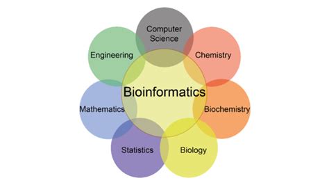 Bioinformatika Sebuah Interdisiplin Ilmu Komputer Dan Biologi Yang Perlu Kamu Ketahui