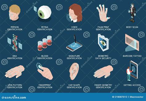 Biometric Authentication Icon Set Stock Vector Illustration Of Person