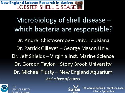 Microbiology Of Shell Disease Which Bacteria Are Responsible