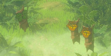 Tingles Maps Korok Forest Breath Of The Wild Zelda Universe Tingles Maps Korok Forest Breath Of The Wild Zelda Universe