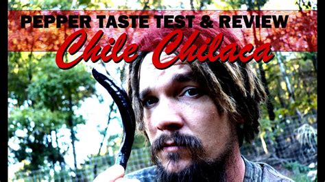 Chile Chilaca Pepper Taste Test And Review Youtube