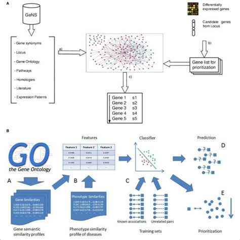 Gene Prioritization Methods A A Entities And Their Relations Are