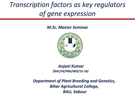 Transcription Factors As Key Regulators Of Gene Expression Ppt