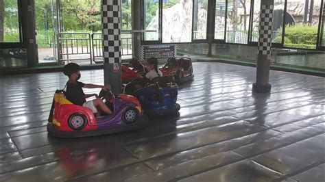 서울랜드 어린이 범퍼카 체험 Youtube