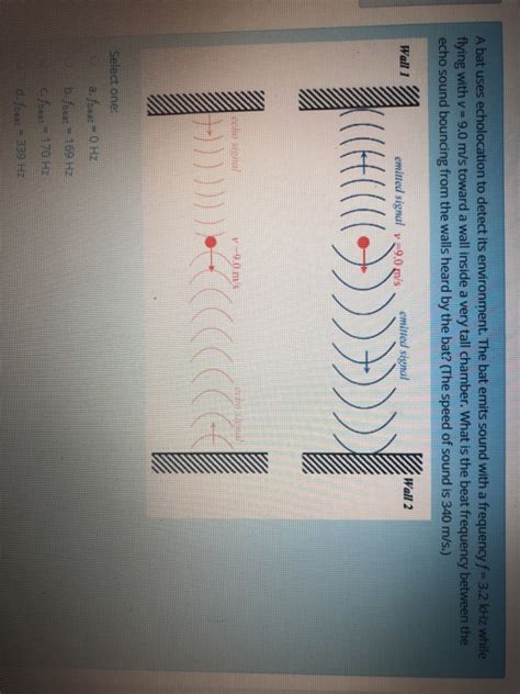 Solved Bat Uses Echolocation To Detect Its Environment The