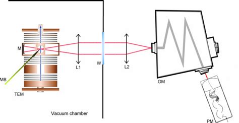 Schematic View Of The Experimental Setup Tem Trochoidal Electron