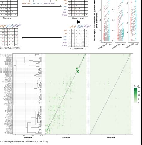 figure 6 from gene panel selection for targeted spatial transcriptomics