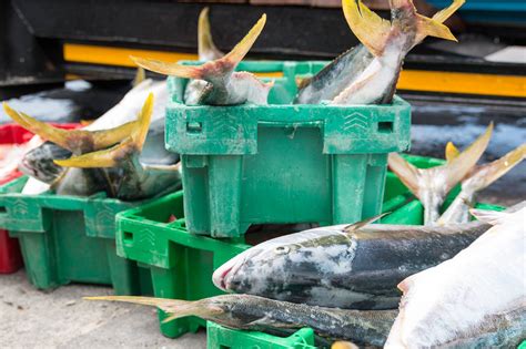 Abalobi Abalobi Added A New Photo