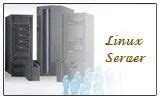 Linux Web Hosting In Delhi Id 2904925473