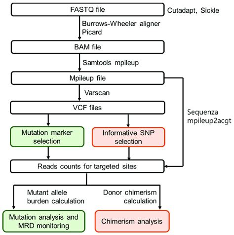 Algorithm For Simultaneous Analysis Of Chimerism And Mutation The Download Scientific Diagram