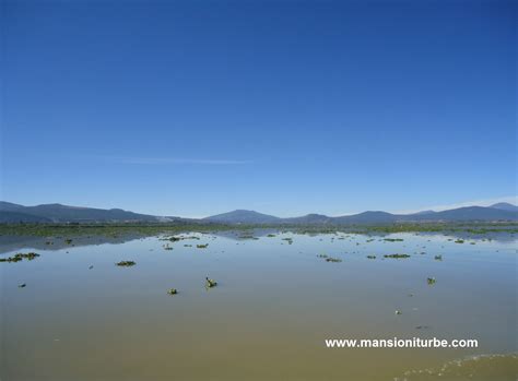Cuidemos El Lago De Pátzcuaro Y La Zona Lacustre