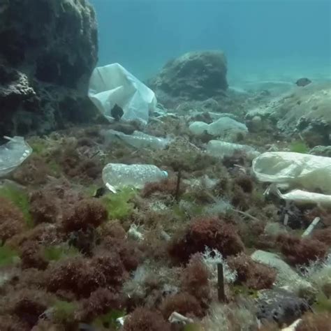 Heather Temple On Linkedin But You Dont Have Recycle Bins Next To Your Trash Bins In The Regular…