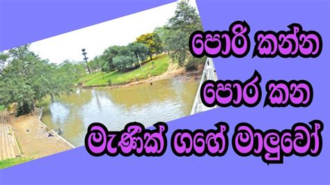 පොරිවලට පොර කන මැණික් ගගේ මාලුවෝ Youtube