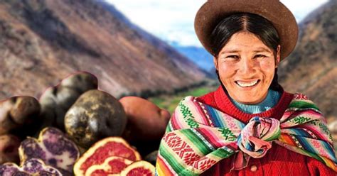 Día Internacional De La Papa Descubre Su Origen En Perú Científicos