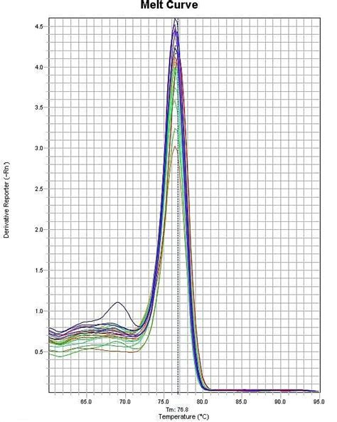 Fluorescence Melting Peak Analysis For The Nod2 Gene Promoter Showing
