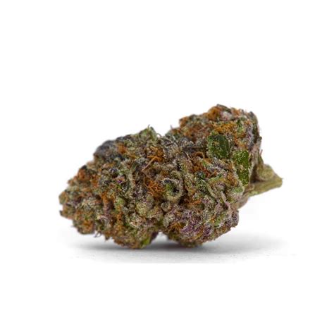 Girl Scout Cookies Malibu Hemp
