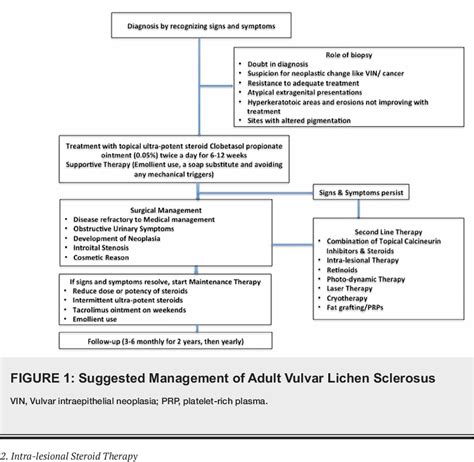 Table 1 From Treatment Options In Vulvar Lichen Sclerosus A Scoping