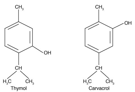 1 Chemical Structures Of Thymol And Carvacrol Download Scientific