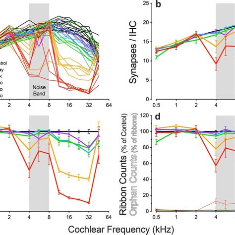 Synaptic Puncta Disappear Then Recover From 1 Day To 6 Months Post Download Scientific Diagram