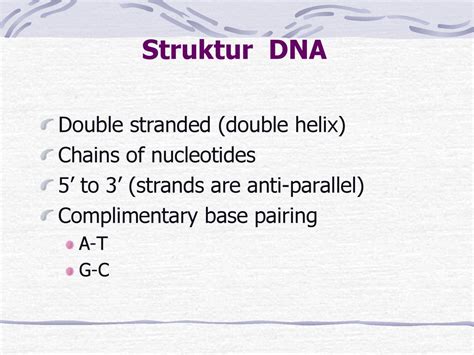 Detail Gambar Struktur Dna Double Helix Koleksi Nomer 39